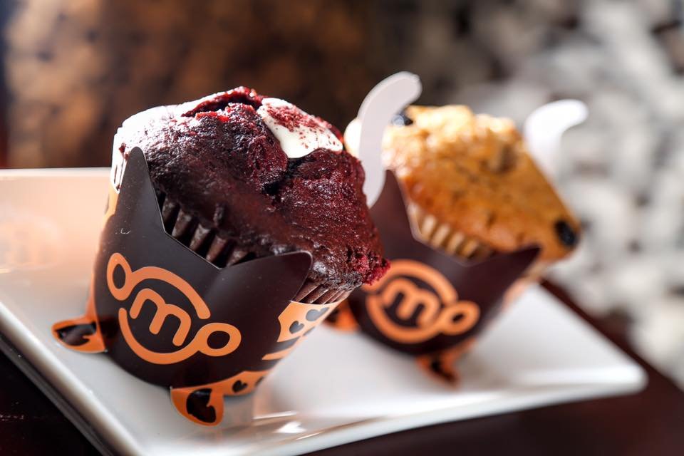 BENGAL BREW CAT CAFE - Updated October 2025 - 22 Photos - G/F, Araneta ...