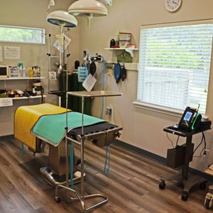 PETS R FAMILY VETERINARY HOSPITAL - Updated December 2025 - 117 Photos ...