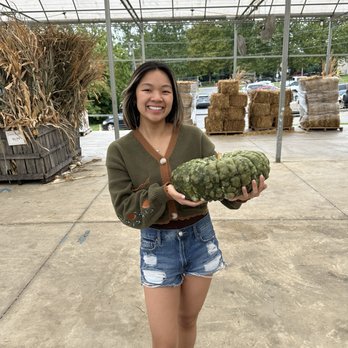 WEBER’S FARM - Updated July 2025 - 272 Photos & 159 Reviews - 2526 ...