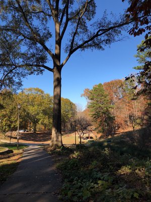 CANDLER PARK - Updated October 2024 - 585 Candler Park Dr, Atlanta ...