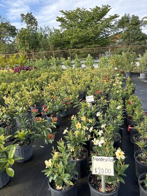 THE BUSHEL STOP - Updated June 2024 - 28 Photos & 33 Reviews - 20700 ...