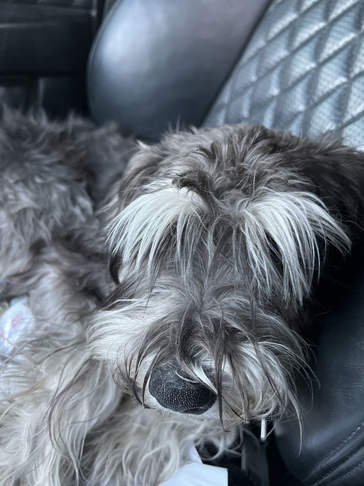 HEALTH ATLAST WEST LA - Updated December 2025 - 39 Photos & 98 Reviews ...