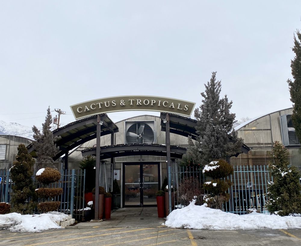 CACTUS & TROPICALS - 105 Photos & 86 Reviews - Nurseries & Gardening ...