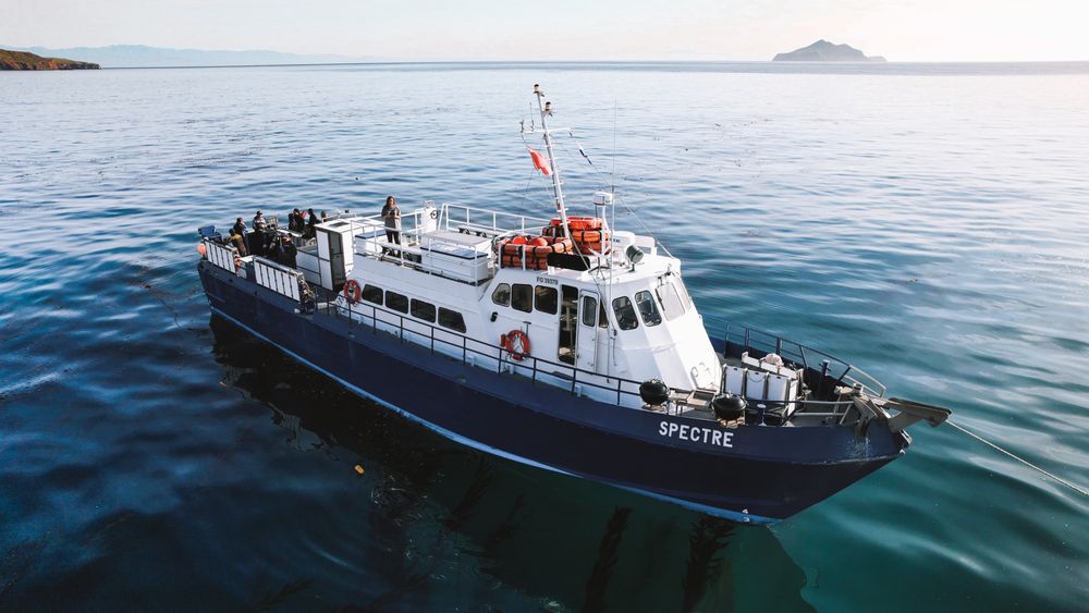 DIVE CHANNEL ISLANDS - Updated October 2024 - 1583 Spinnaker Dr ...