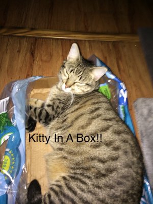 GARDEN PARK ANIMAL CLINIC - Updated January 2025 - 10 Photos & 12 ...