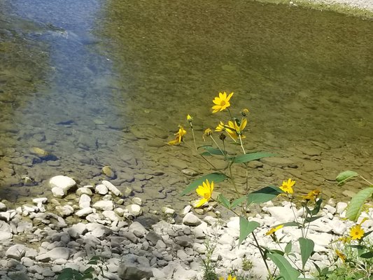 CARMODY PARK - Updated December 2025 - 17 Photos - 7499 Martz Paulin Rd ...