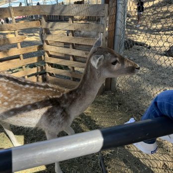 OAK TREE MOUNTAIN - Updated October 2025 - 670 Photos & 163 Reviews ...