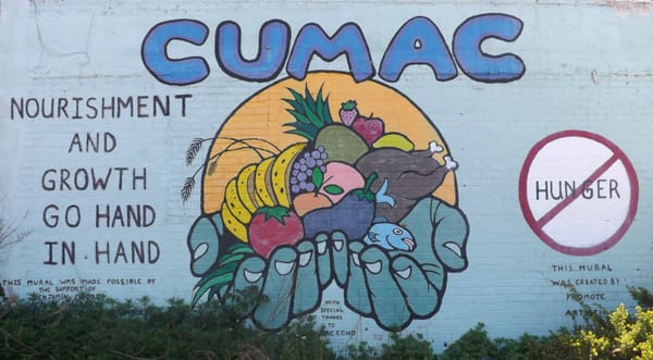 CUMAC - Updated January 2026 - 32 Photos - 223 Ellison St, Paterson ...