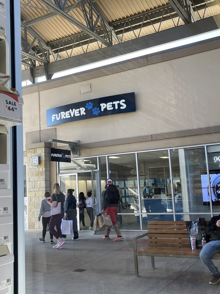 FUREVERPETS - Updated December 2024 - 21 Photos & 47 Reviews - 4401 N ...