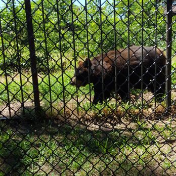 Popcorn Park Zoo - 194 Photos & 86 Reviews - Zoos - Humane Way, Forked ...