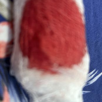 KAISER PERMANENTE TRACY MEDICAL OFFICES - Updated January 2026 - 84 ...