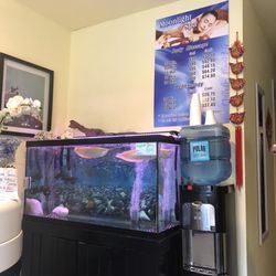 MOONLIGHT SPA - 55 Photos & 108 Reviews - Reflexology - 722 Washington ...