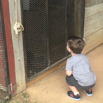 PETTING ZOO OCALA - Updated October 2025 - 96 Photos & 38 Reviews ...