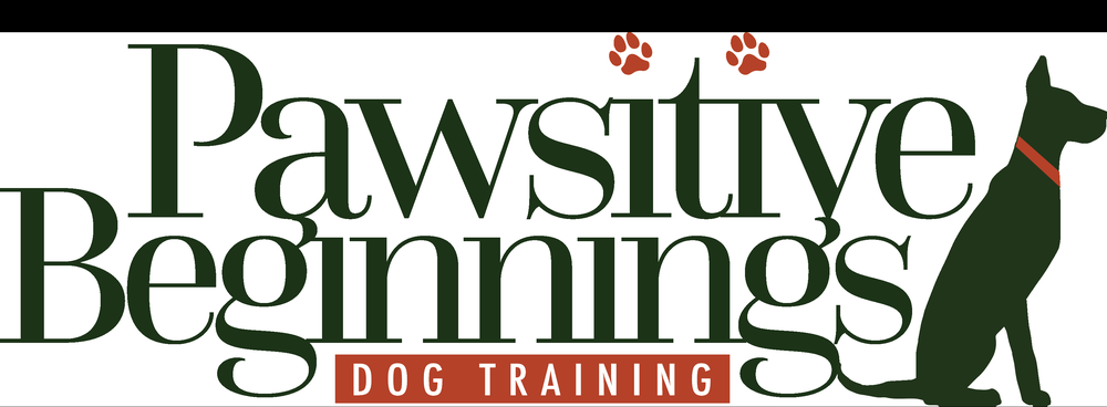 PAWSITIVE BEGINNINGS DOG TRAINING - Updated May 2024 - Durham, North Carolina - Pet Training ...