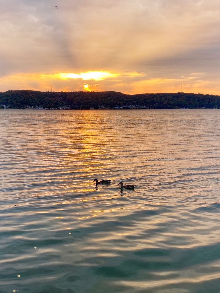 SUNSET MOTEL ON THE BAY - Updated August 2024 - 35 Photos & 28 Reviews ...