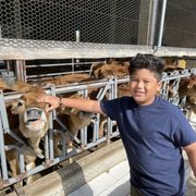 LAPP VALLEY FARMS - 172 Photos & 111 Reviews - 244 Mentzer Rd, New ...