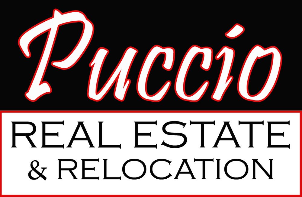 PUCCIO REAL ESTATE & RELOCATION - Contact Agent - 14315 Winter Ridge Ln ...