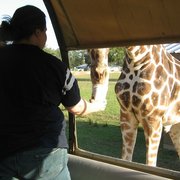 GLOBAL WILDLIFE CENTER - 557 Photos & 126 Reviews - 26389 Hwy 40 ...