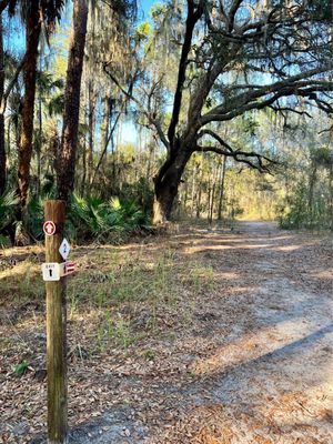 LITHIA SPRINGS PARK - Updated December 2024 - 141 Photos & 59 Reviews ...