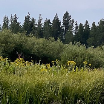 MACKS INN RIVER ADVENTURES - Updated August 2024 - 22 Photos & 13 ...