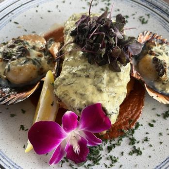 COCO WOOD GRILL - Updated September 2024 - 201 Photos & 212 Reviews ...