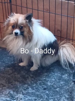 AMERICAN CLASSIFIEDS - Updated September 2025 - 10 Photos - 3900 N 1st ...