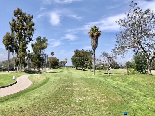 RIVER VIEW GOLF - 132 Photos & 186 Reviews - 1800 W Santa Clara Ave ...
