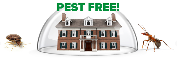 SELECT EXTERMINATING - Updated December 2025 - 59 Photos & 34 Reviews ...