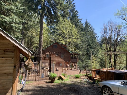 PARADISE DOG RANCH - Updated December 2025 - 33 Photos & 34 Reviews ...