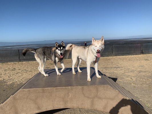 CASTRO VALLEY ANIMAL HOSPITAL - 64 Photos & 256 Reviews - 2837 Castro ...