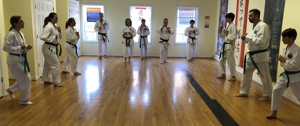 MOUNTAIN KARATE - Updated October 2024 - 11 Photos - 54 Carolina Ave ...