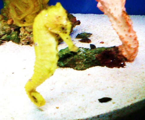 BIO REEF - Updated December 2025 - 10 Photos & 27 Reviews - 3653 Regent ...