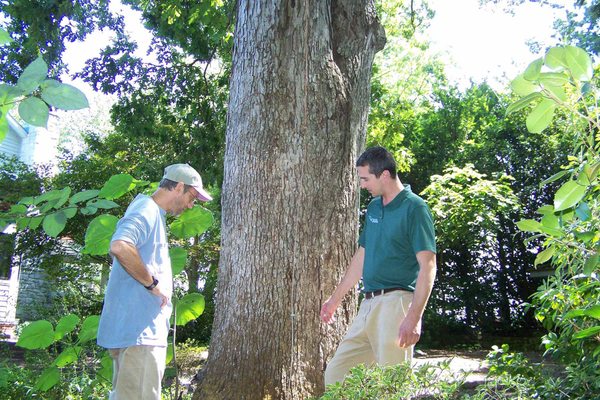 BARTLETT TREE EXPERTS - Updated November 2025 - 48 Photos - Manassas ...