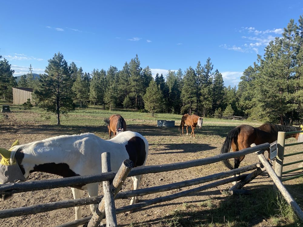 SUMMER STAR RANCH - Updated December 2025 - 7451 Owl Gulch Rd, Helena ...