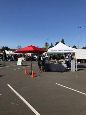 NEWARK FARMERS MARKET - 471 Photos & 166 Reviews - 2086 Newpark Mall ...