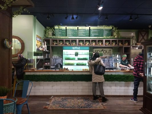 SPROUT - 66 Photos & 22 Reviews - 305 Huntington Ave, Boston, MA - Menu ...