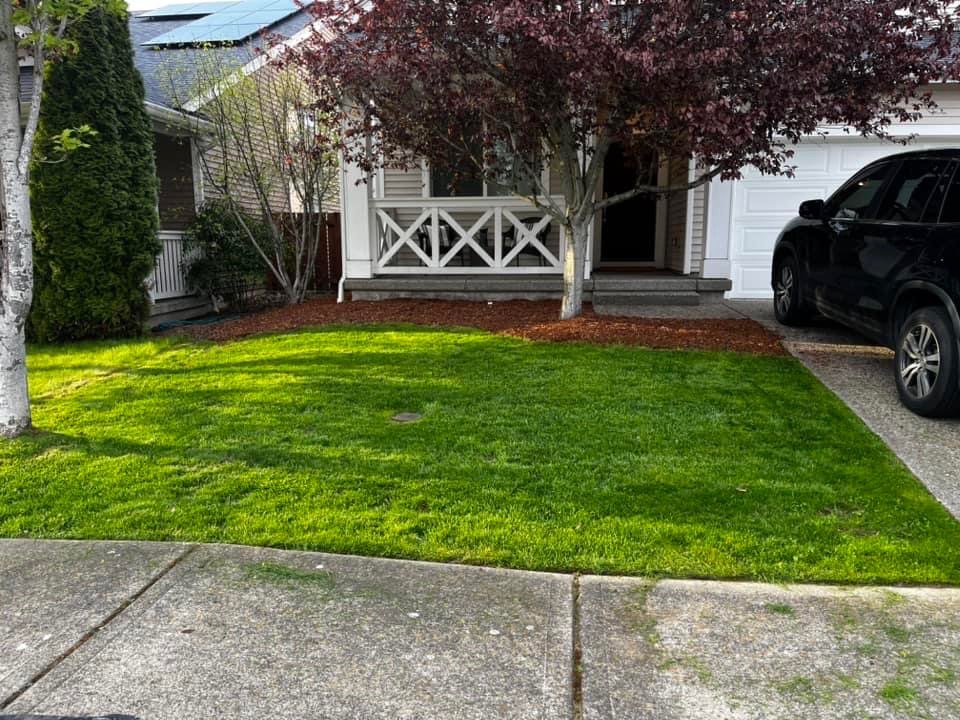 RAMI’S LANDSCAPING - Updated December 2024 - Tacoma, Washington ...
