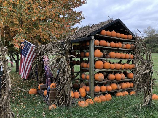 BI WATER FARM & GREENHOUSE - Updated October 2024 - 39 Photos & 22 ...