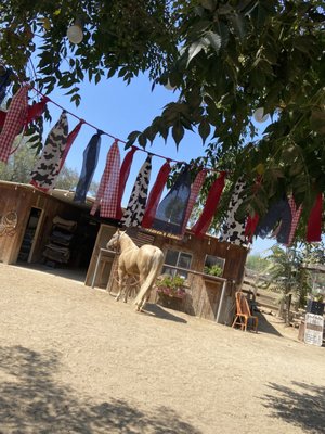 HEAVENS RANCH NORCO - Updated February 2025 - 92 Photos & 40 Reviews ...