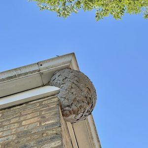 MEN IN BLACK PEST CONTROL SERVICES - 25 Photos & 382 Reviews ...