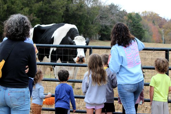 RESCUE RANCH - Updated December 2025 - 32 Photos - 1424 Turnersburg Hwy ...