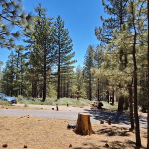 REYES CREEK CAMPGROUND - Updated December 2025 - 137 Photos & 41 ...
