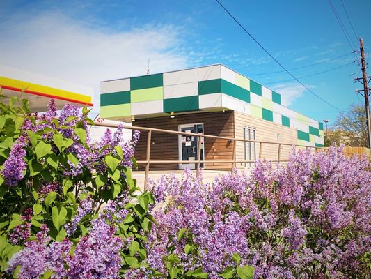 TREES DISPENSARY - DENVER - Updated May 2025 - 57 Photos & 59 Reviews ...