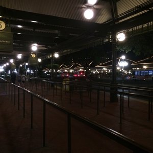 MAGIC KINGDOM BUS STATION - 20 Photos & 19 Reviews - Magic Kingdom ...