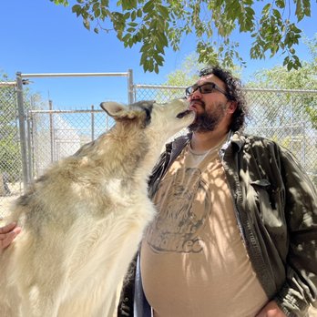 WOLF MOUNTAIN SANCTUARY - Updated December 2025 - 457 Photos & 190 ...