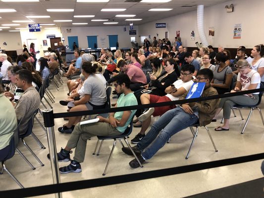 DEPARTMENT OF MOTOR VEHICLES - Updated March 2026 - 16 Photos & 73 ...