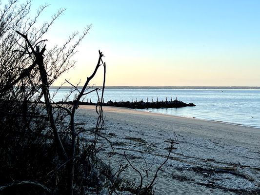 THE SANDS POINT PRESERVE CONSERVANCY - Updated December 2025 - 537 ...
