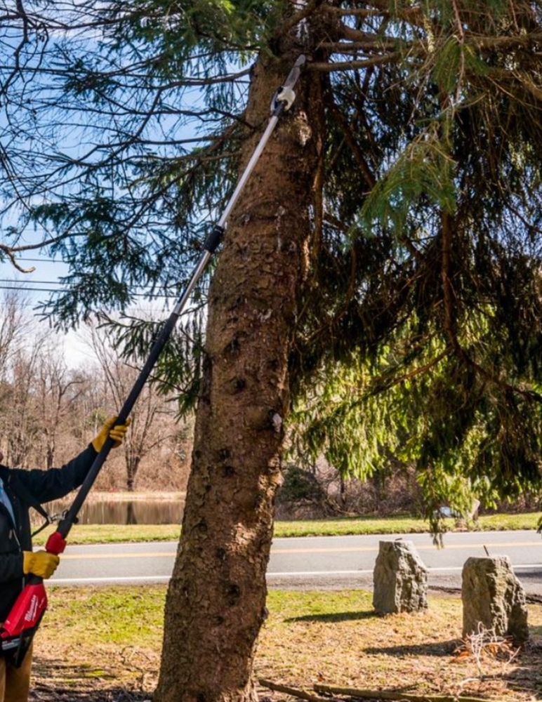 ALL TREE WORKS - Updated August 2025 - Lake Mary, Florida - Tree ...