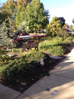 BRANDYWINE HUNDRED LIBRARY - Updated October 2025 - 20 Photos & 14 ...