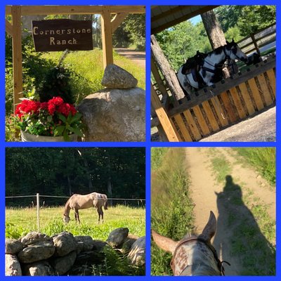 CORNERSTONE RANCH - Updated December 2025 - 70 Photos & 129 Reviews ...